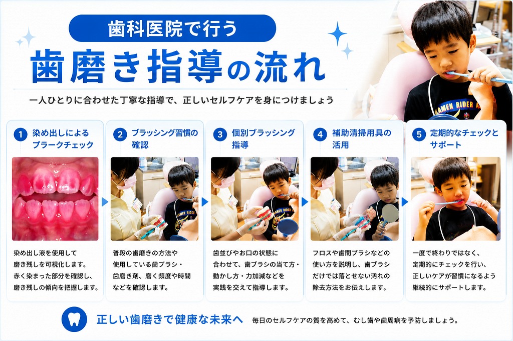 歯磨き指導（TBI）完全ガイド｜年齢別・目的別に学ぶ正しいセルフケア法