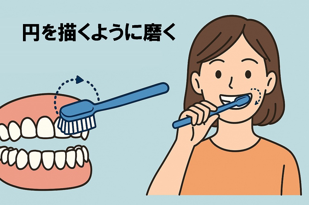 初心者でもできる！やさしく磨ける「フォーンズ法」のやり方とコツ